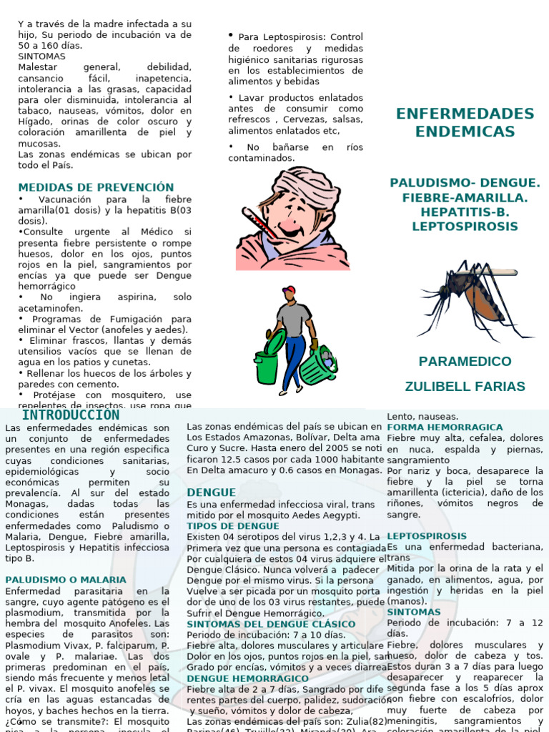 Triptico Enfermedades Endemicas | PDF | Malaria | Fiebre amarilla