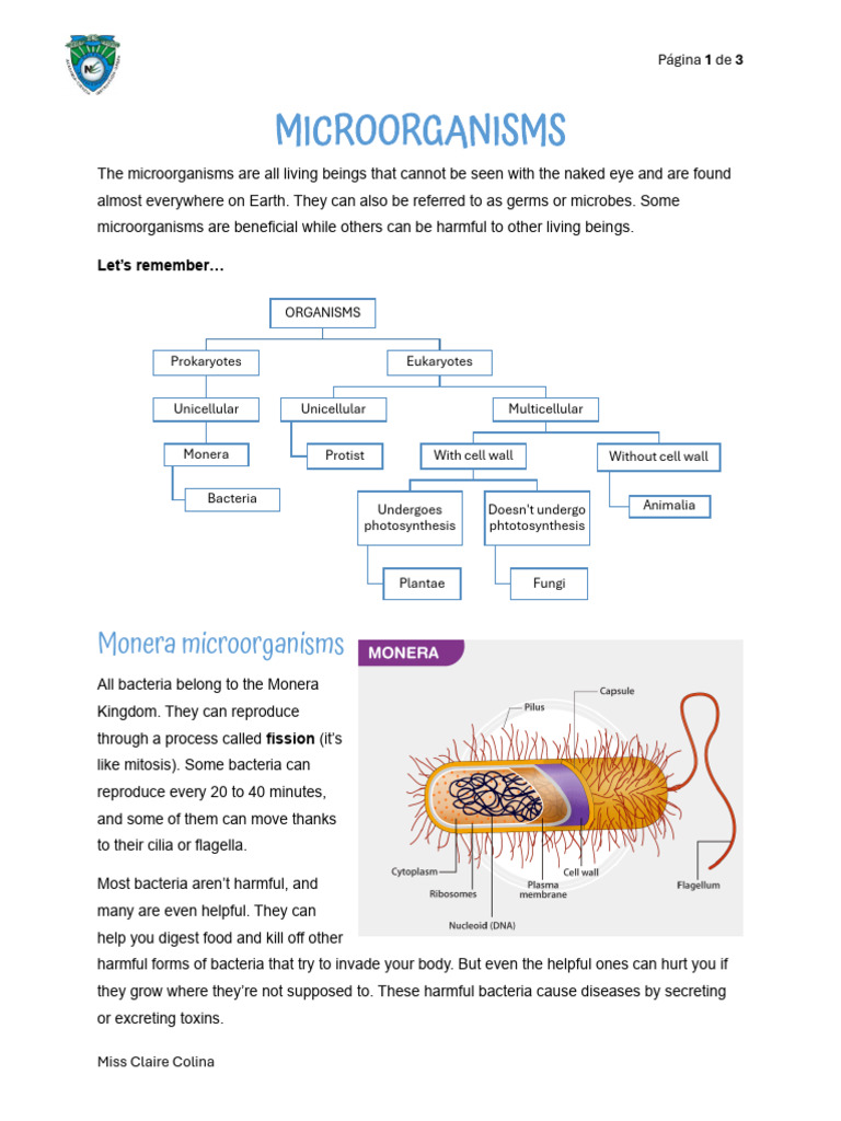 Understanding Microorganisms: Types & Impact | PDF | Microorganism ...