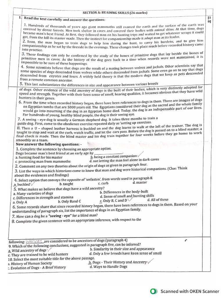 English Test Paper by Chetna Ma'Am | PDF
