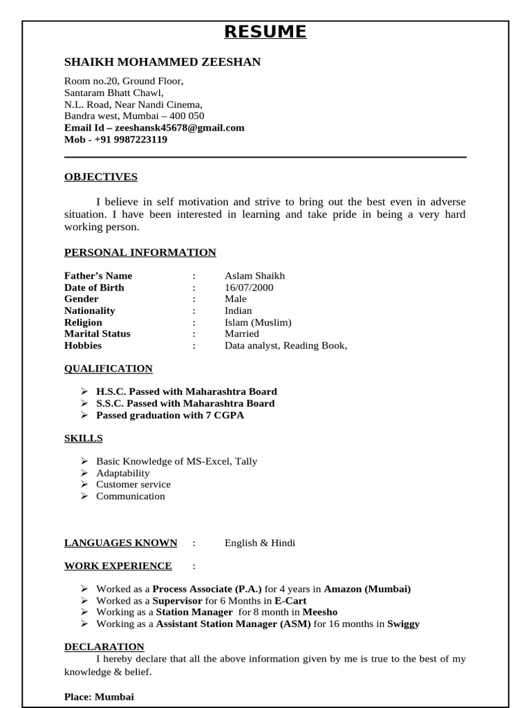 Resumee Zeeshan | PDF