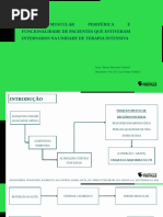 Escala IMS - ICU em Portuguã S 2 | PDF | Medicina Clínica | Remédio