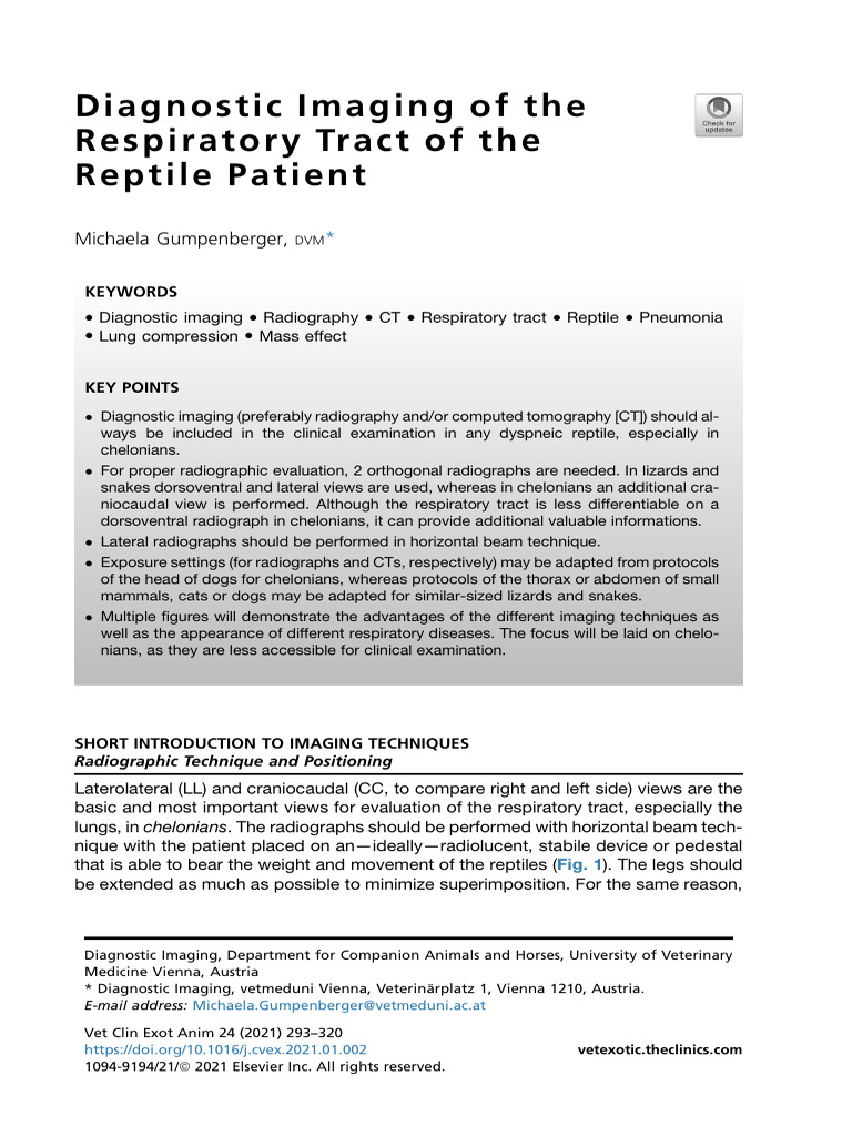 Diagnostic Imaging of The Respiratory Tract of The Reptile Patient ...