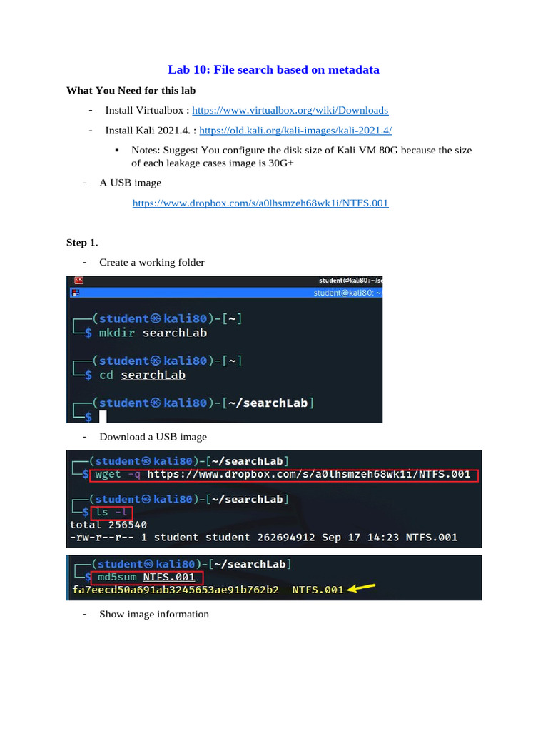 Lab-10-File Search Based On Metadata | PDF