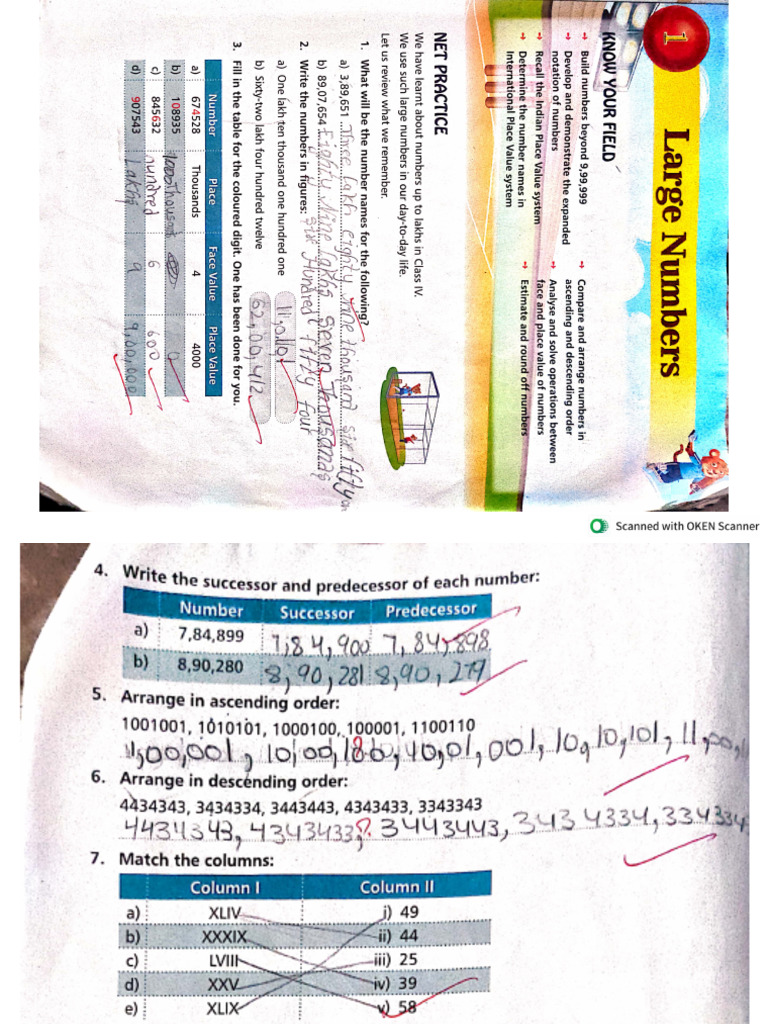 5 Maths | PDF