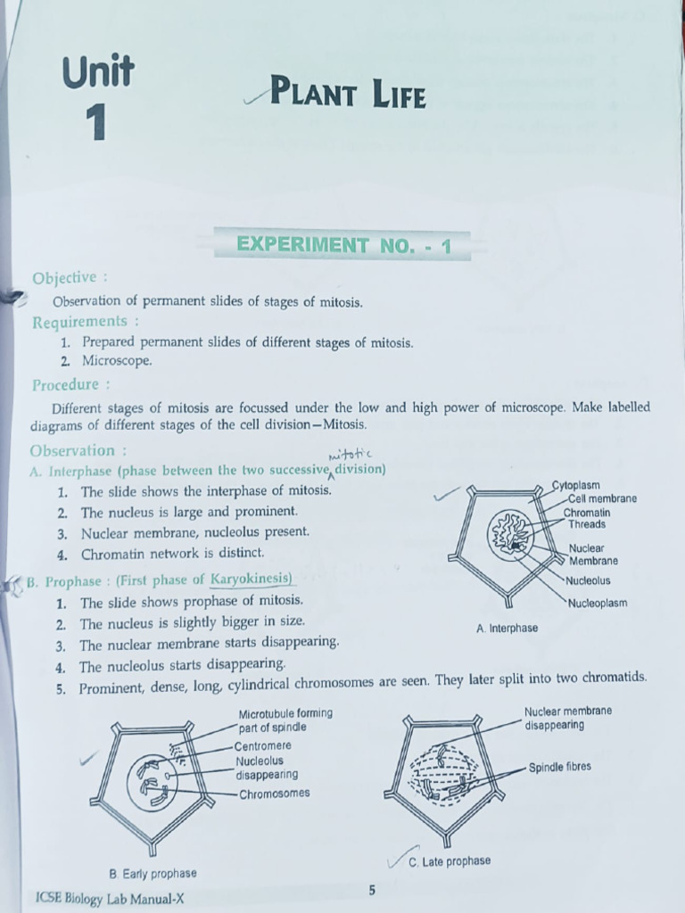 Biology Project | PDF