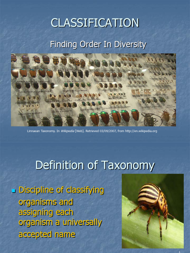 Classification Notes For Website (BOT2) | PDF | Taxonomy (Biology) | Genus