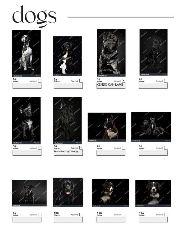 Stock Photos Dogs 2 | PDF
