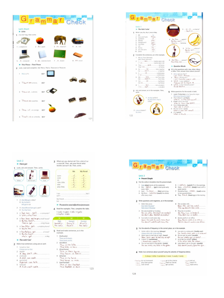 Grammar Check | PDF