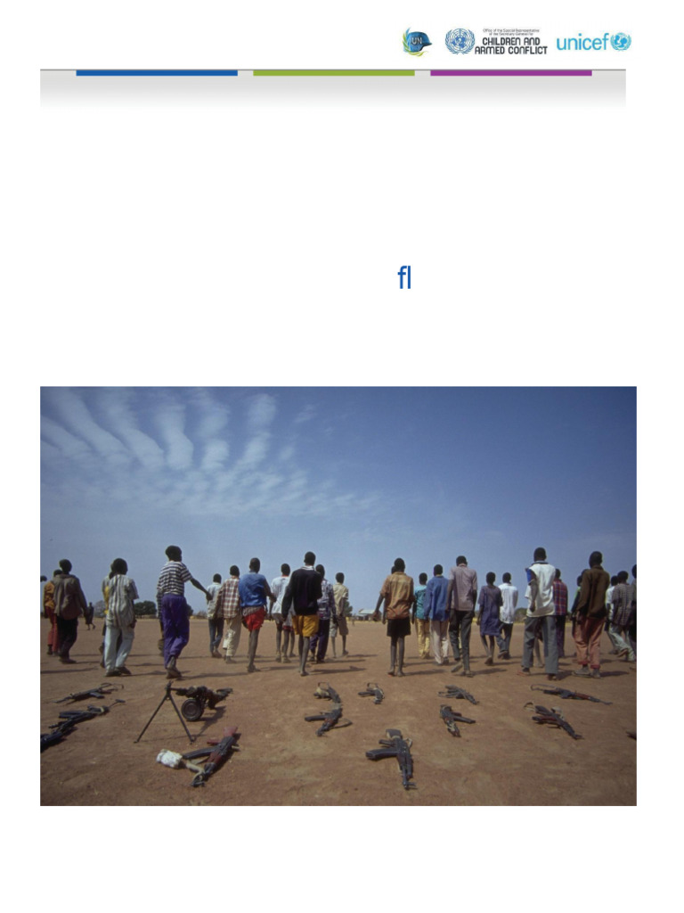 MRM Guidelines - 5 June 20141 | PDF | United Nations | International ...