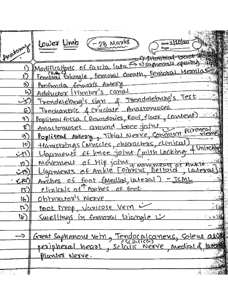 Anat Supply Supra | PDF