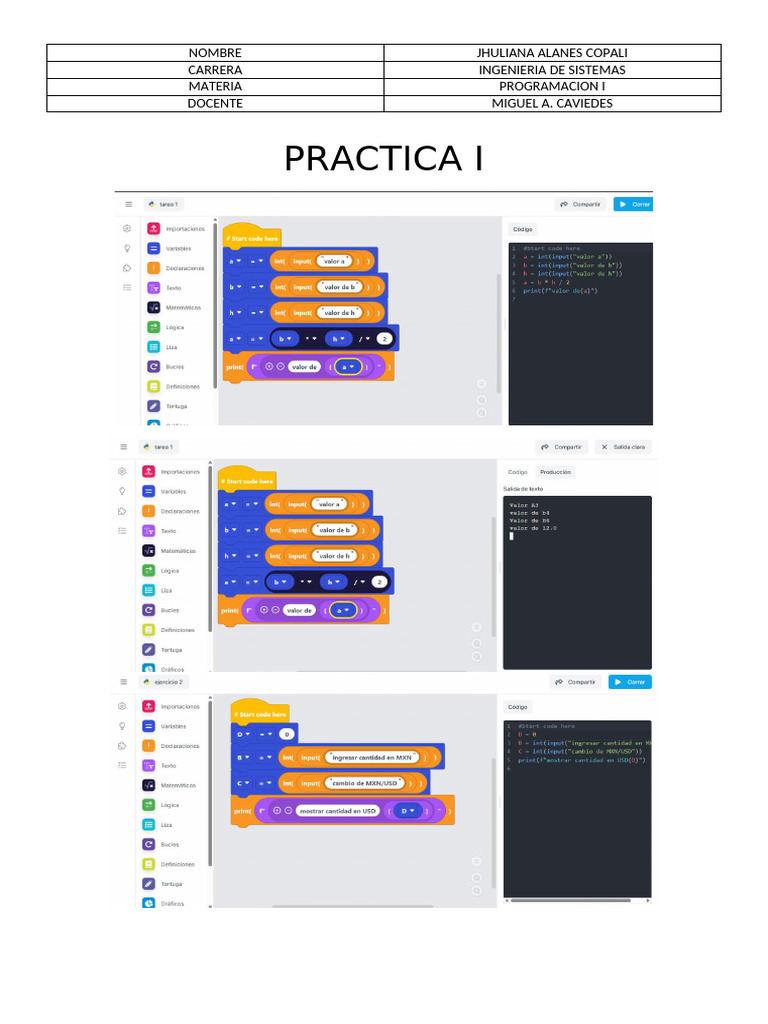Practica I de Programacion | PDF