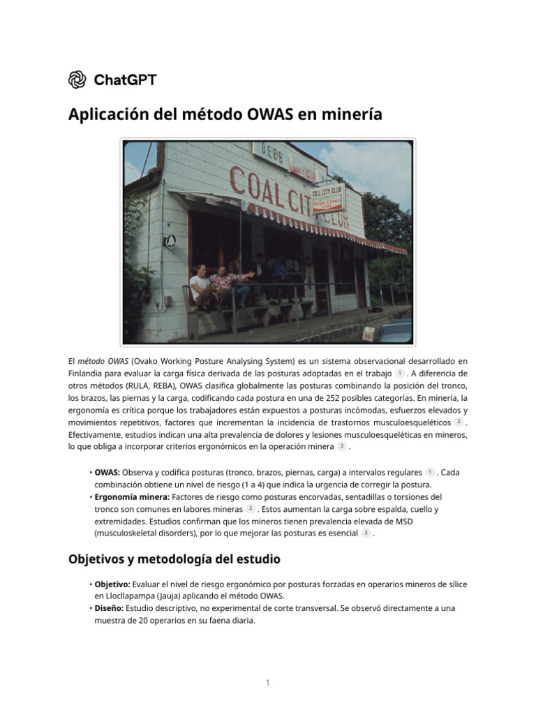 Evaluación del método OWAS en minería | PDF
