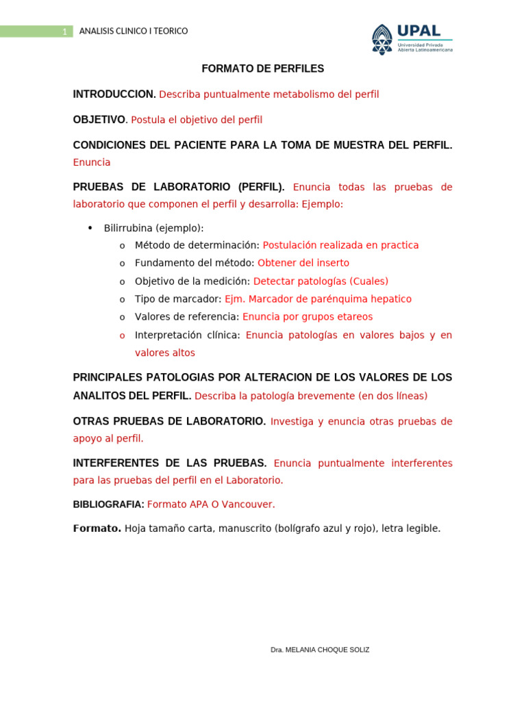 Guia de Perfil | PDF