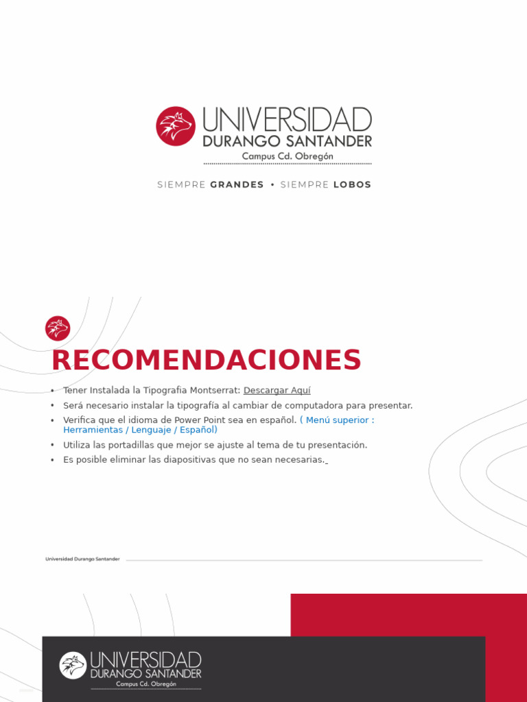 Plantilla UDS 2 | PDF