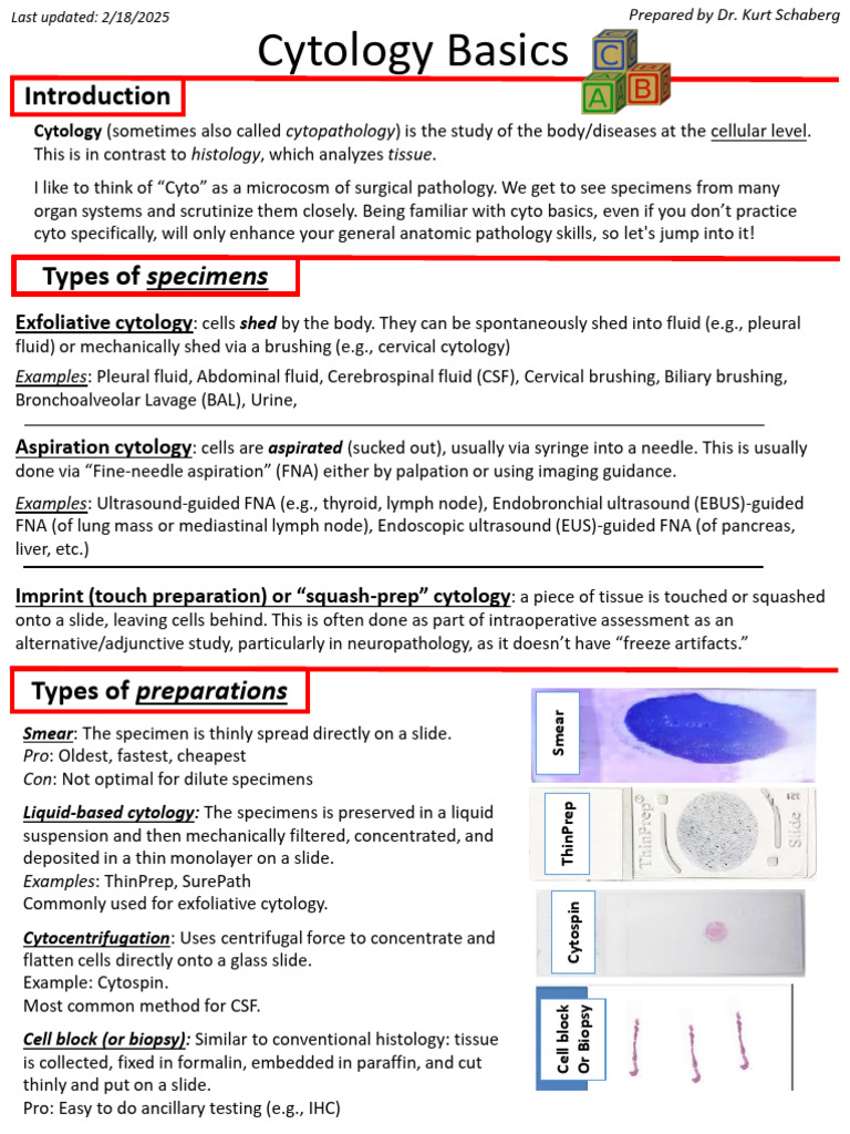Cyto-Basics/ Cytogenetics / Study of Cells | PDF | Cytopathology ...