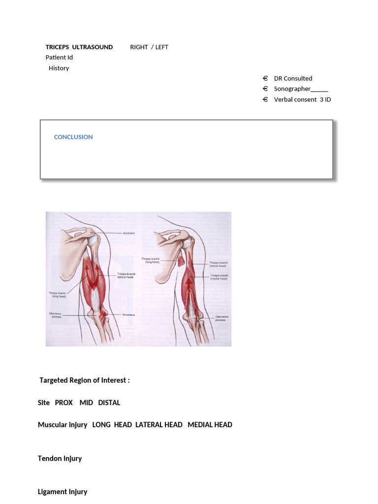 Triceps Ultrasound Right | PDF