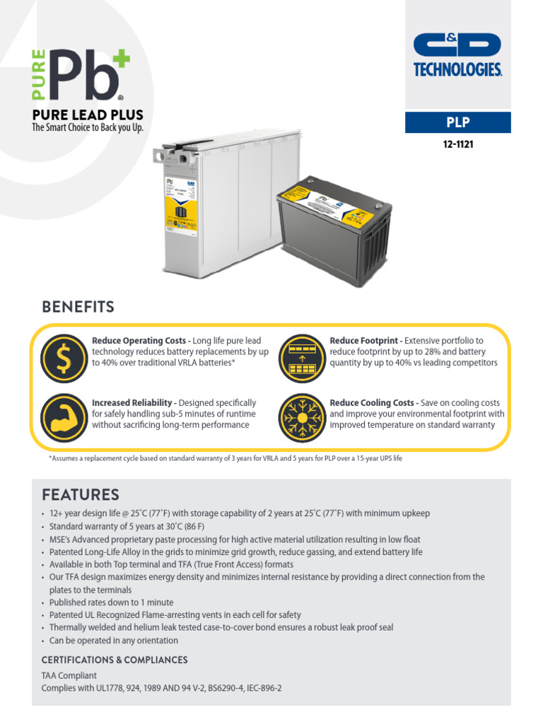 Pure Lead Plus Battery Overview | PDF | Battery Charger | Electricity