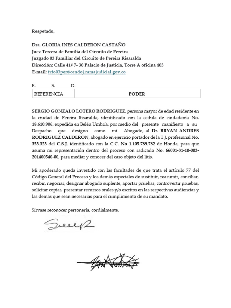 Poder Juzgado 03 Familia F | PDF