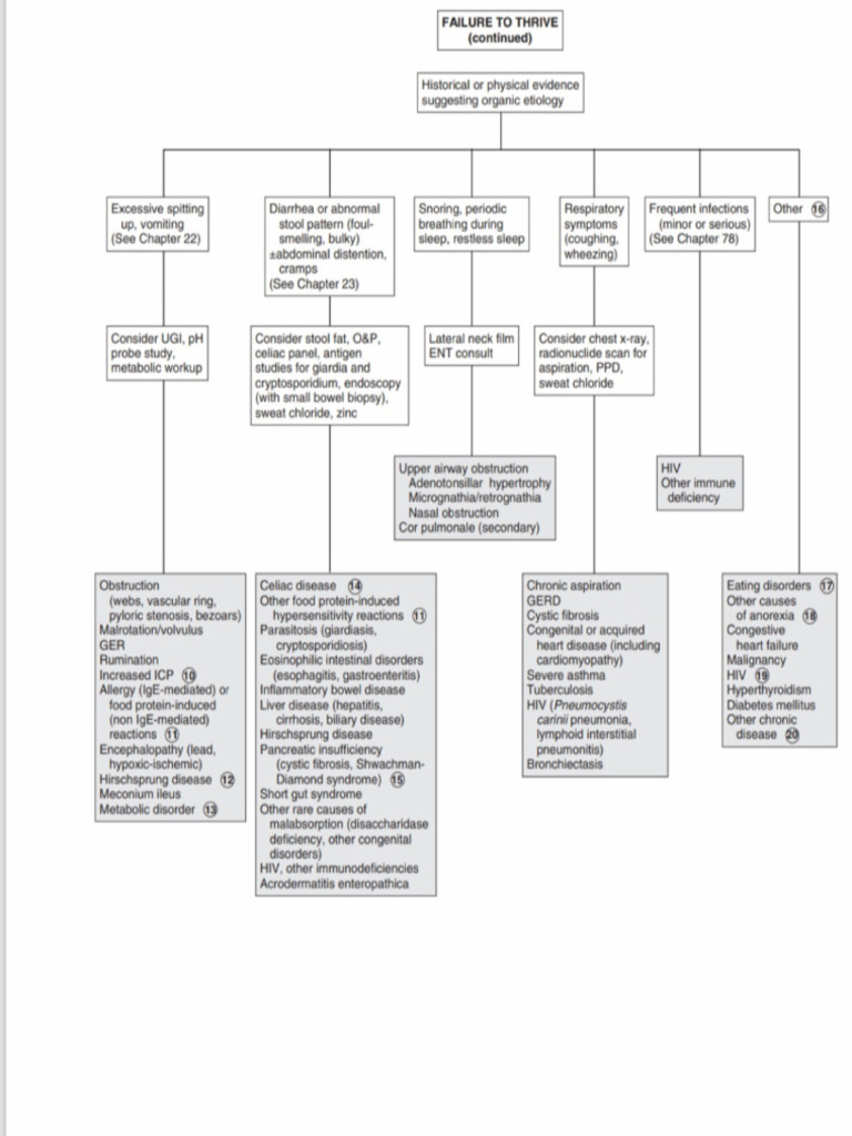 Nelson Algorithm | PDF