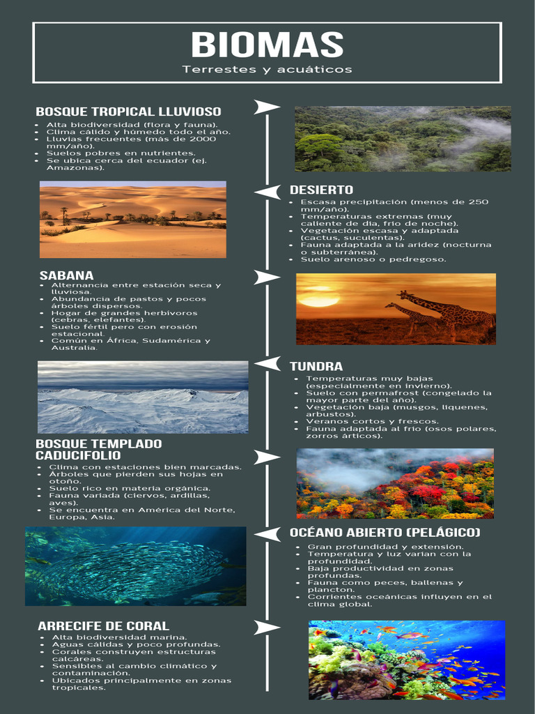 Tipos de Biomas: Características y Ejemplos | PDF | Clima | Ciencias de ...