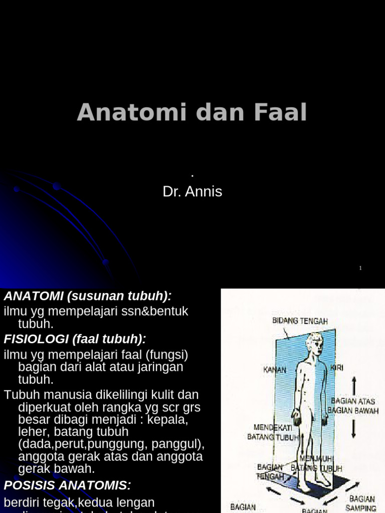 Anatomi Dan Faal PMI | PDF