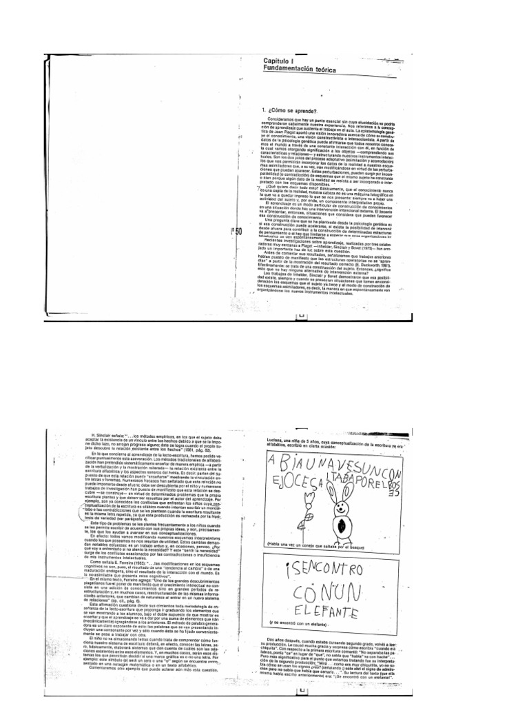 Cómo Se Aprende | PDF