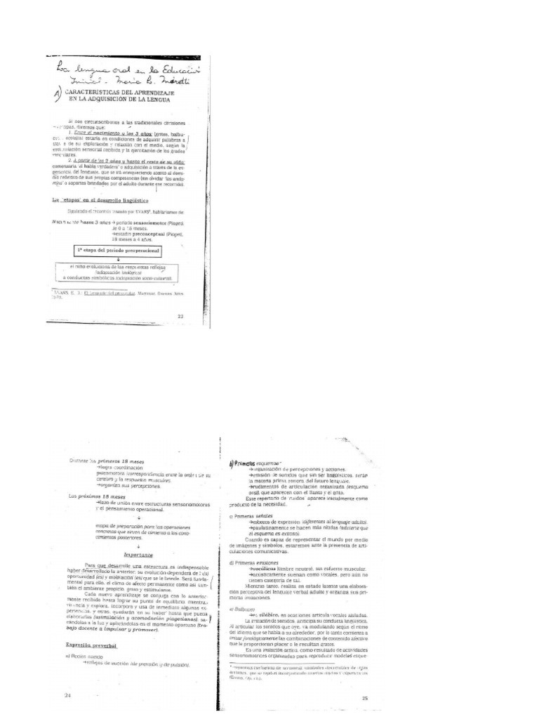 Caracteristicas Del Aprendizaje en La Adquisicion de La Lengua | PDF