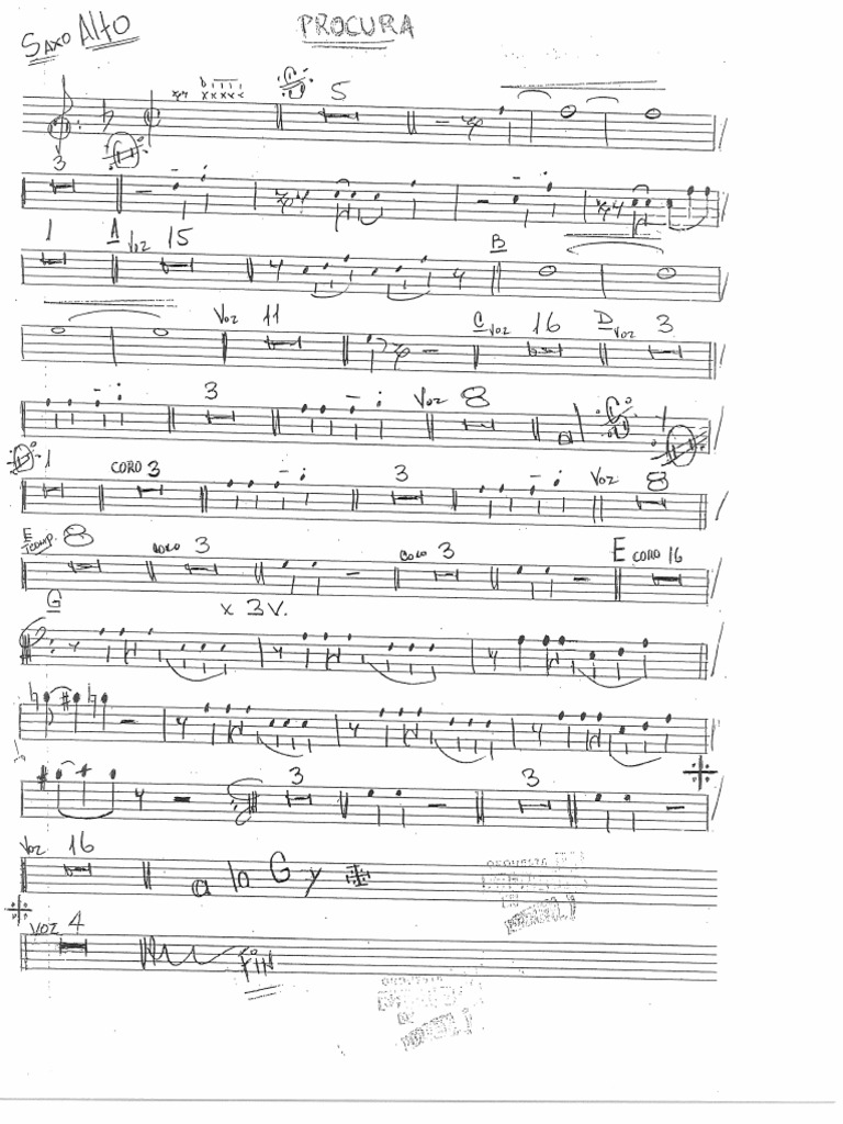 16 Procura | PDF