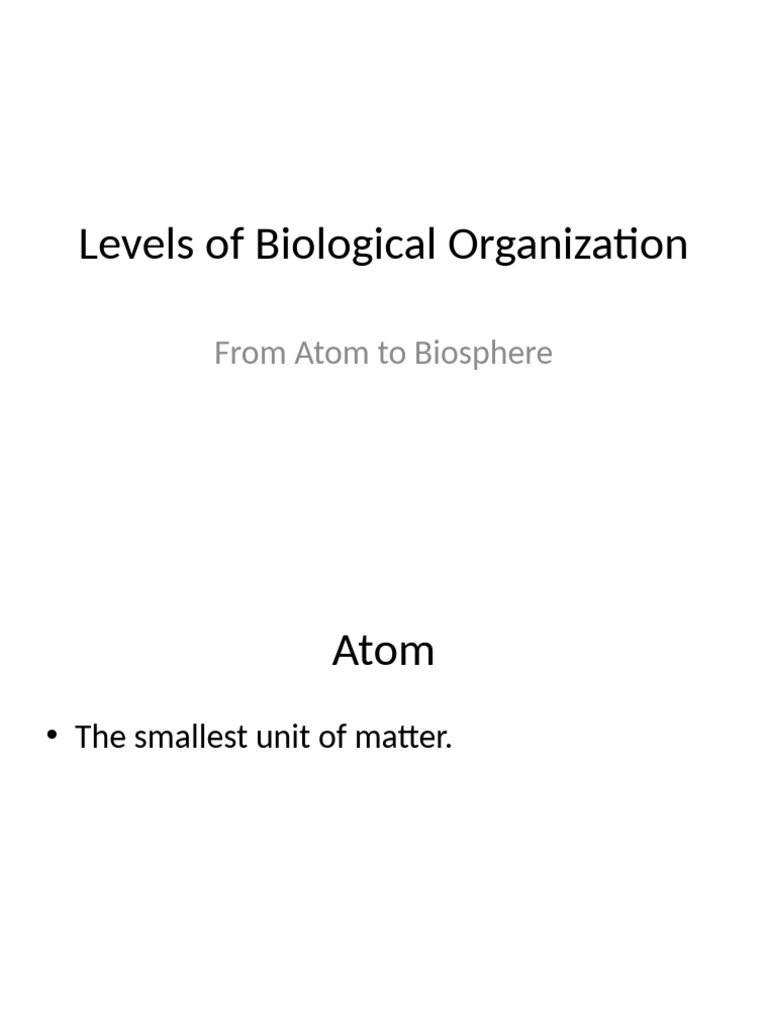 Levels of Biological Organization | PDF