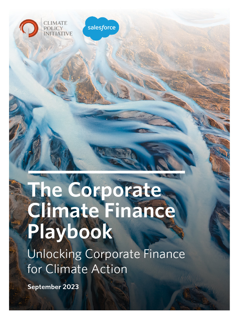 Corporate Climate Finance Playbook | PDF | Economies