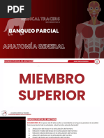 PROTOCOLO EVALUACIÓN FUERZA MUSCULAR - Escala Medical Research Council ...