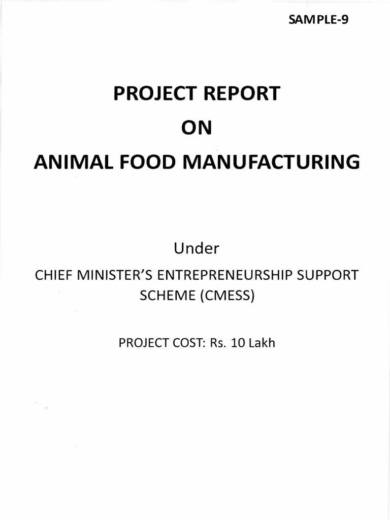 Animal Food Manufacturing Project Report | PDF