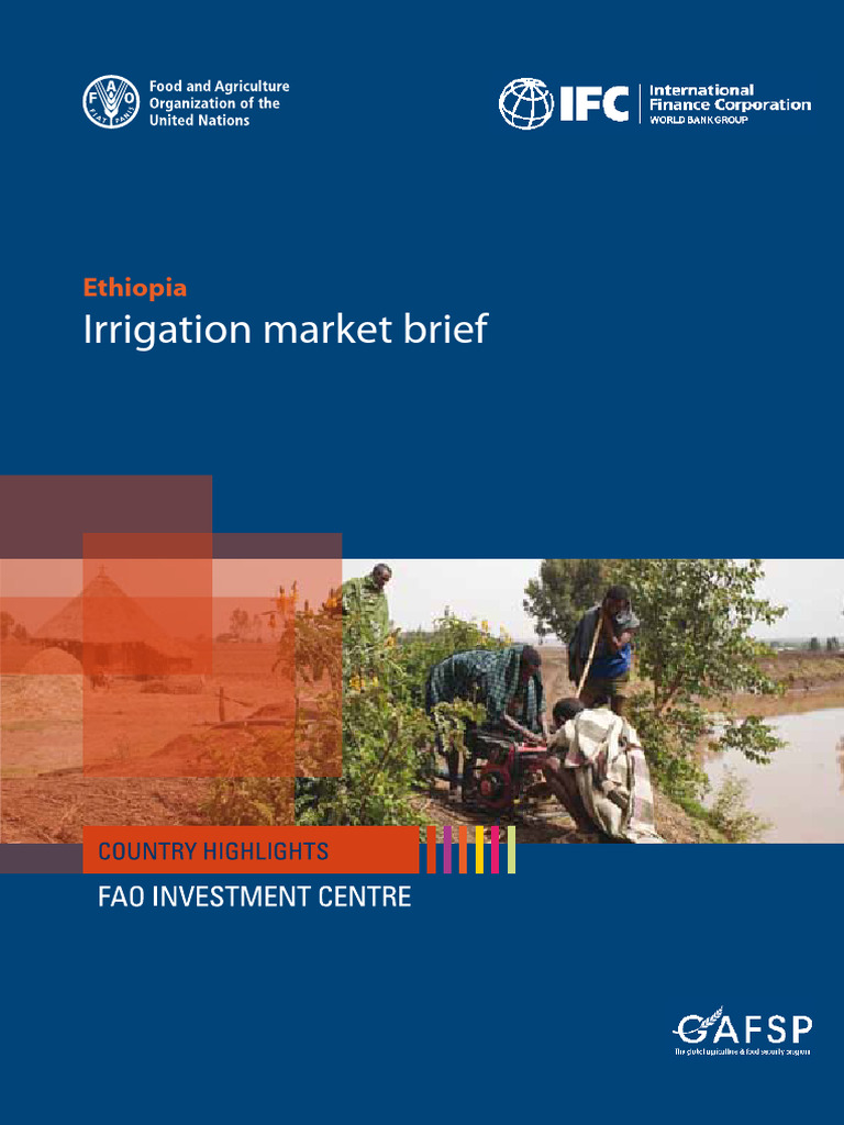 Ethiopia Irrigation Market Brief | PDF | Agriculture | Irrigation