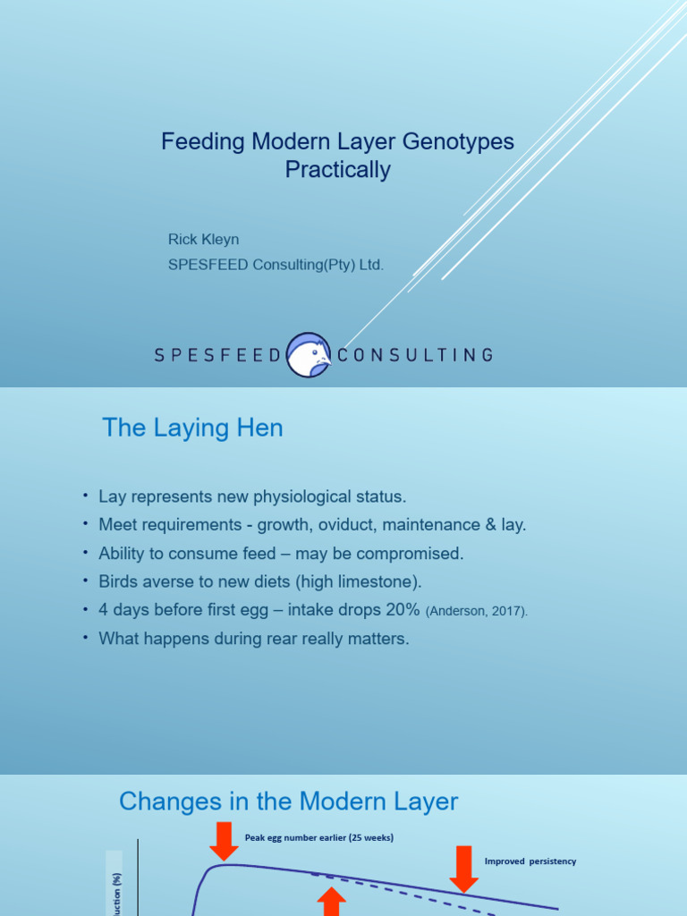 Modern Layer Hen Nutrition Insights | PDF | Bone | Egg