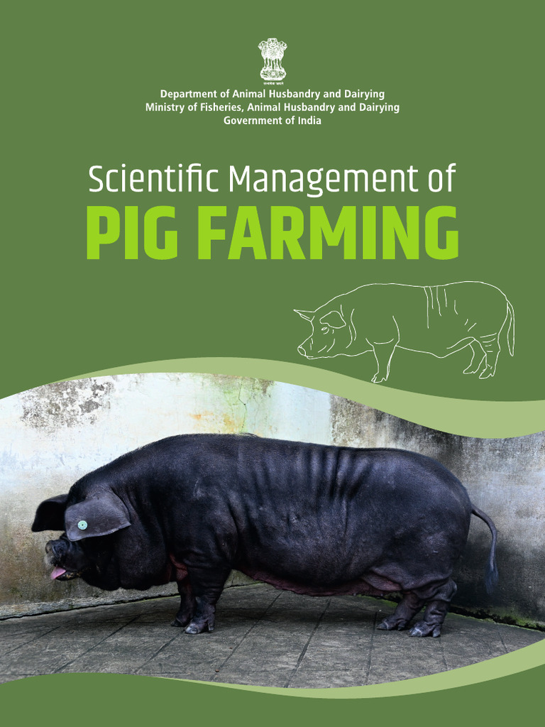 Pig Brochure | PDF