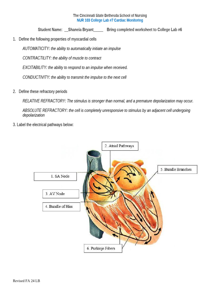 Cardiac Monitoring Worksheet | PDF