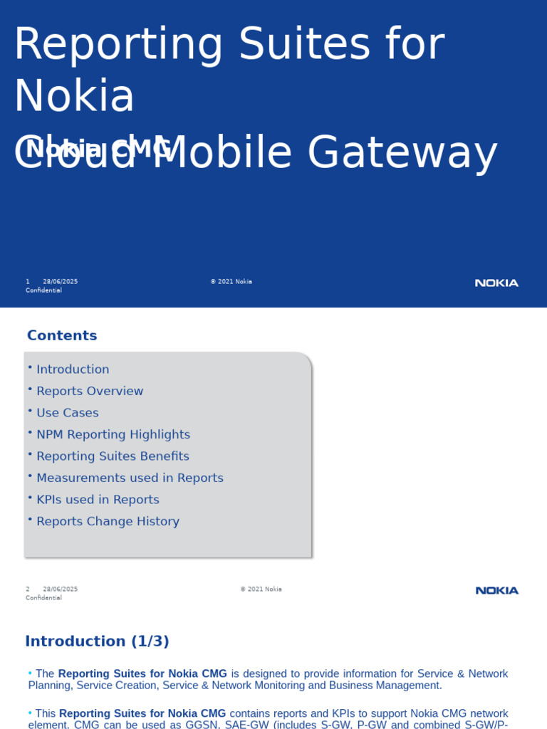 Reporting Suites For Nokia Core EPC Cloud Mobile Gateway - CMG | PDF ...