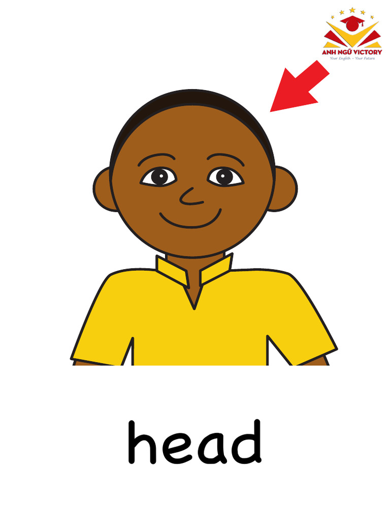 Head Shoulders Knees and Toes Flashcards | PDF
