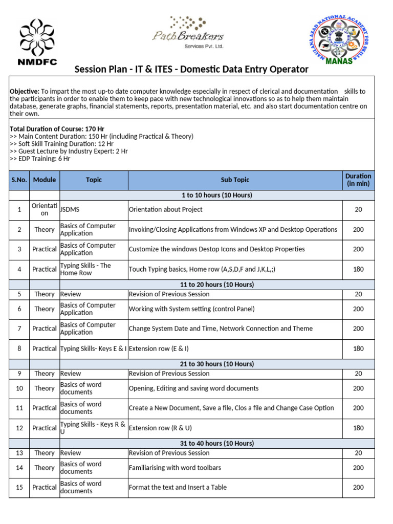 Domesti Data Entry Lesson Plan | PDF | Microsoft Excel | Worksheet