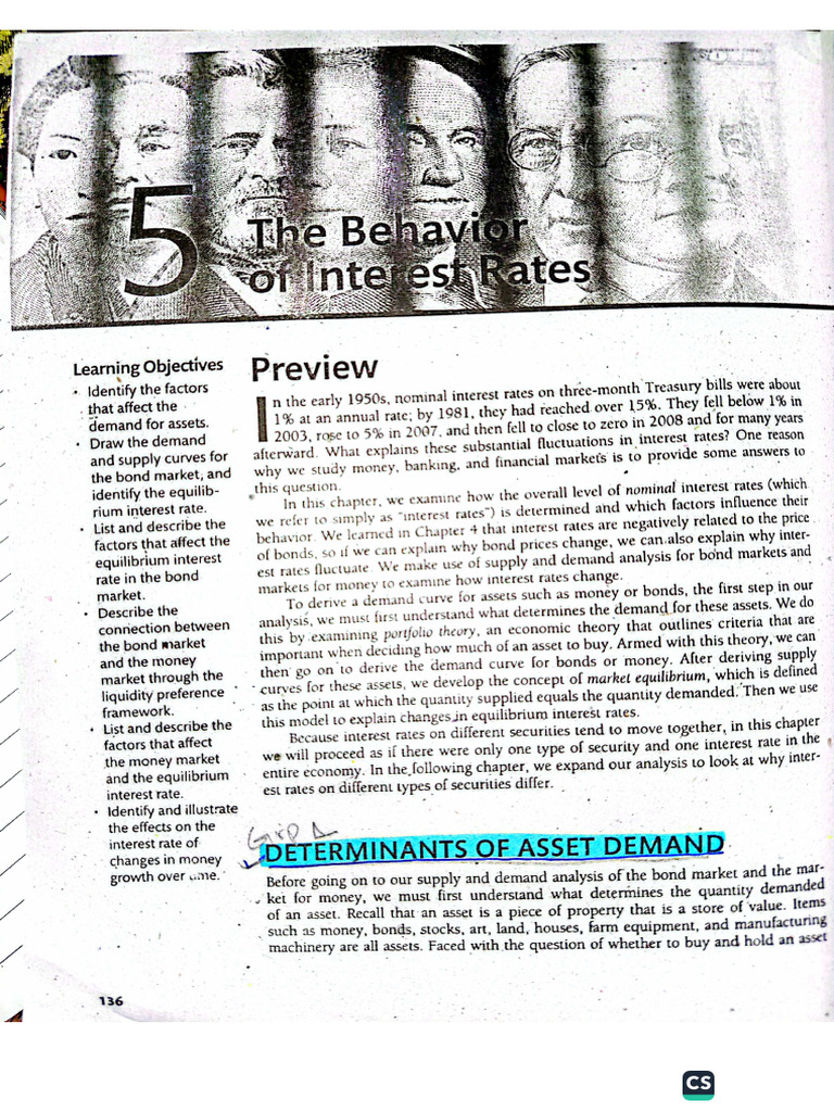 Chapter 5 Financial Economics | PDF