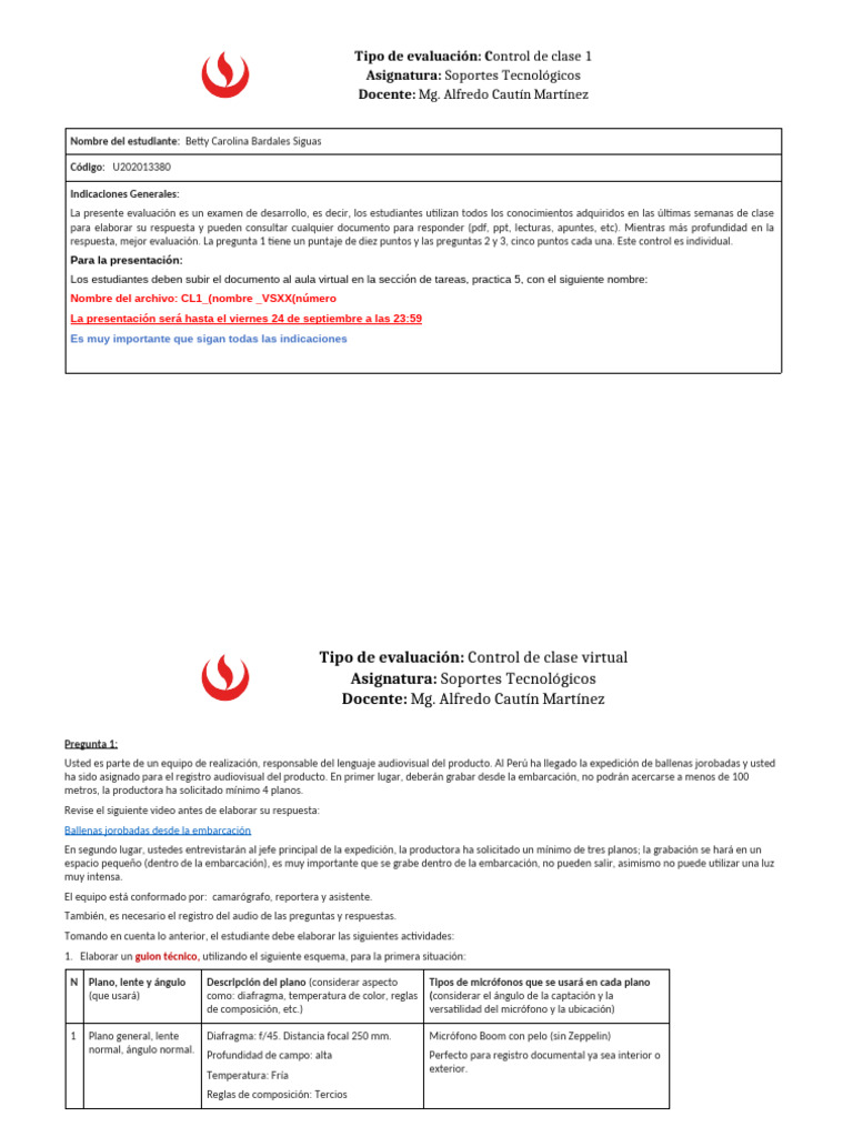 CL1 - Betty Bardales Siguas - VS47 | PDF | Micrófono | Sonido