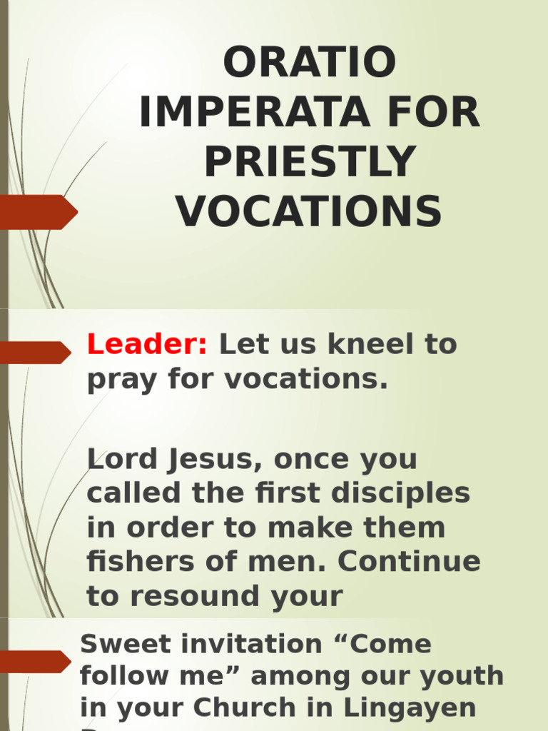 Priestly Vocations | PDF