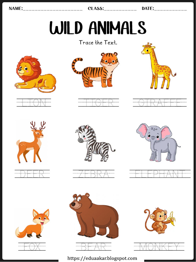 Animal Worksheet | PDF