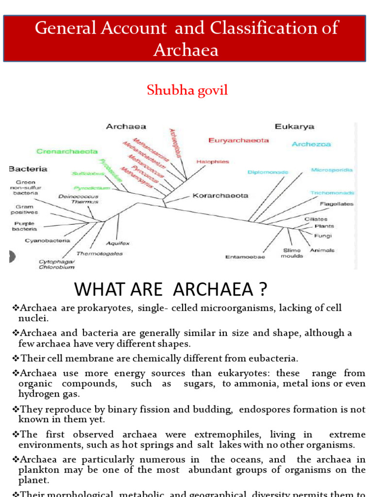 Classification of Archaea | PDF | Archaea | Bacteria