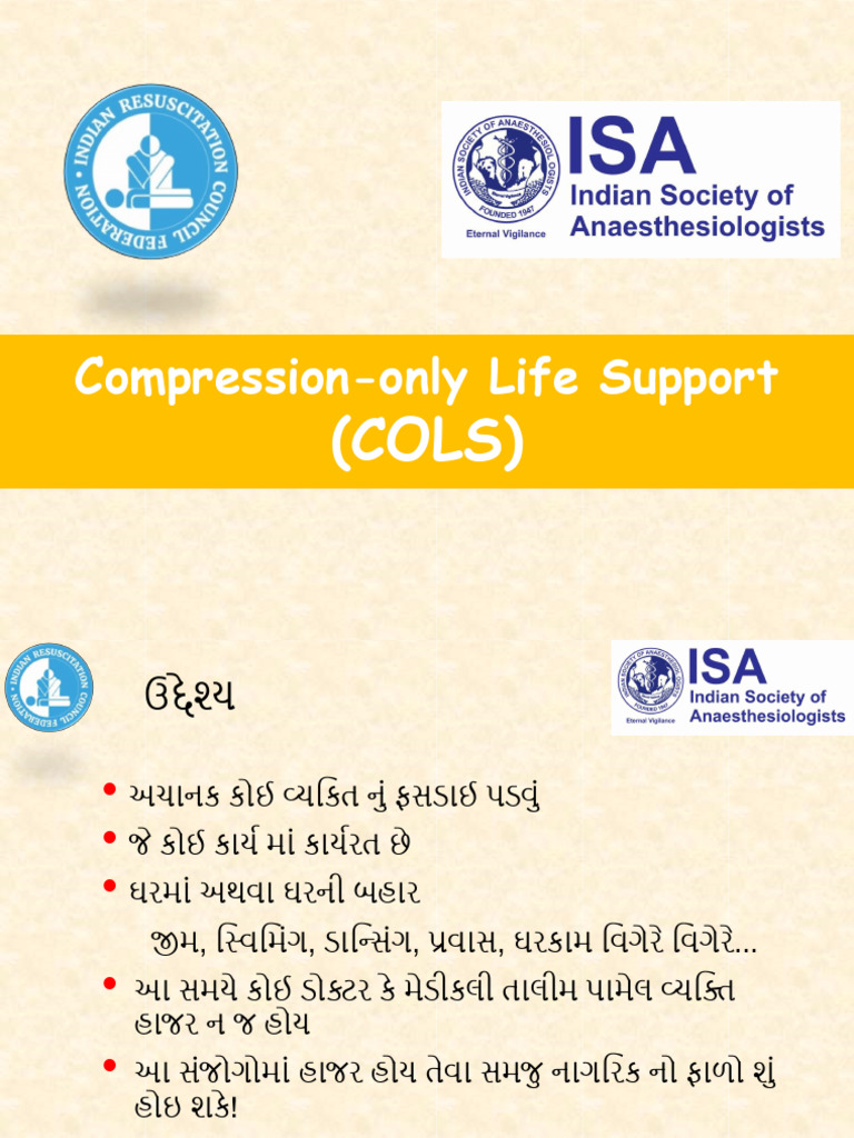 Cols Irc GSB Isa 2023 | PDF