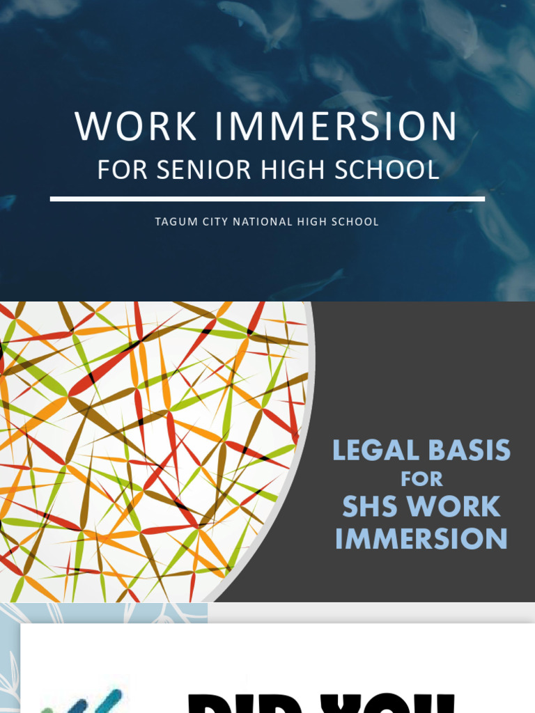 SHS Work Immersion Guidelines Overview | PDF | Employment | Collective ...