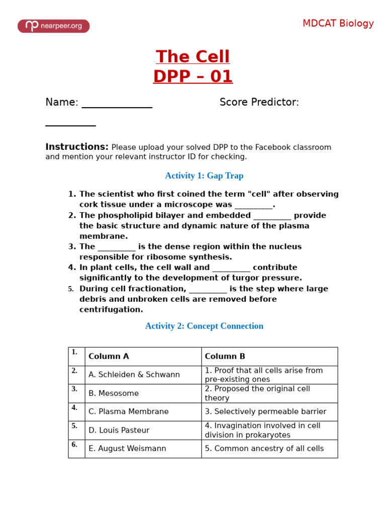 The Cell DPP 1 | PDF