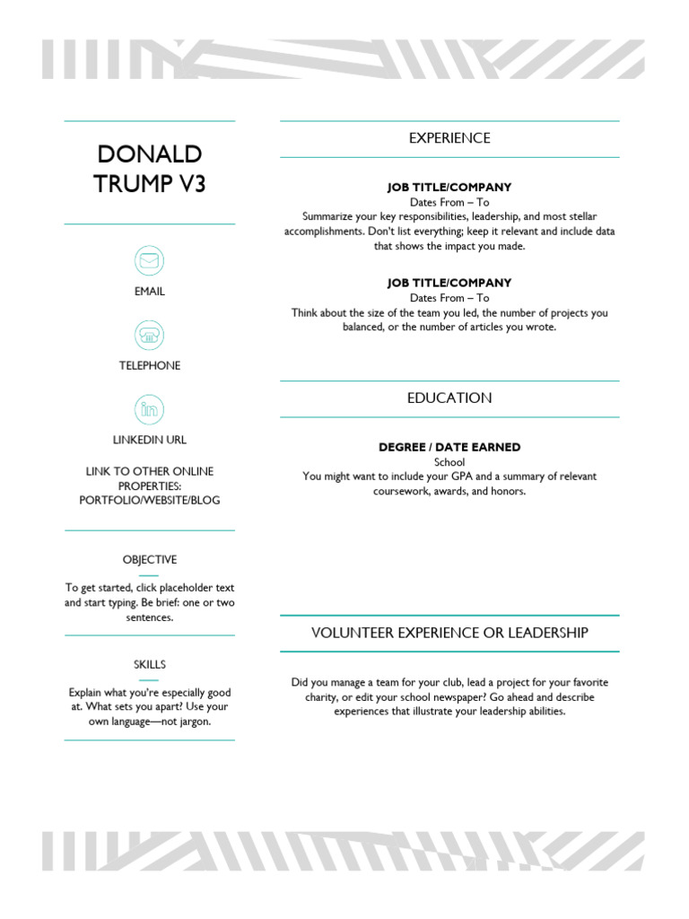 Donald Trump's Professional Profile Template | PDF