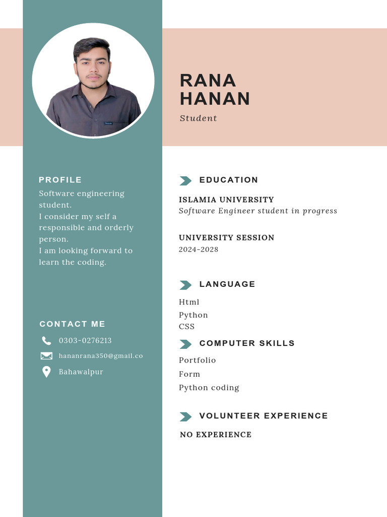 Software Engineering Student Profile | PDF