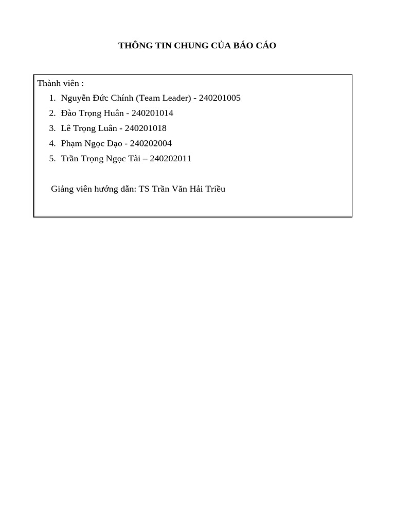 DeCuong Report | PDF